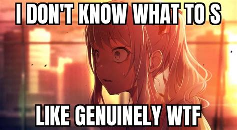 Wtf Reaction Images Wtf S Tenor
