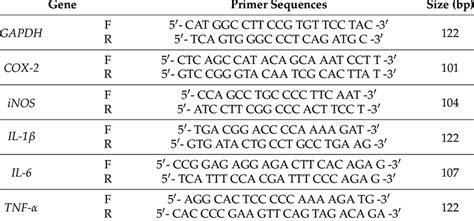Primer Sequences For Real Time Quantitative Polymerase Chain Reaction Download Scientific