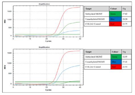 Methylation Specific Pcr Curve Shows The Amplification Of Mgmt With Download Scientific Diagram