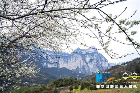 飞阅中国湖北恩施万丈绝壁下 油菜花儿开 新华网