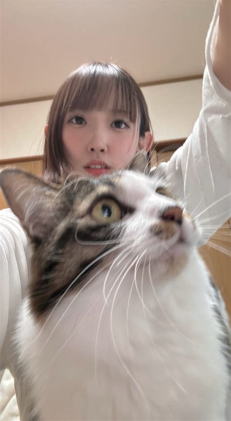もふちゃん