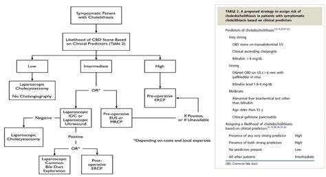 Choledocholithiasis Ercp