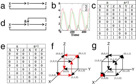 Boolean Modelling In Plant Biology Quantitative Plant Biology