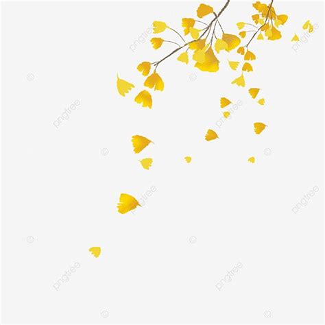 가을 일러스트 흰 이슬 은행나무 가을 이슬 떨어지다 Png 일러스트 및 Psd 이미지 무료 다운로드 Pngtree 종교 포스터 수채화 삽화 그림