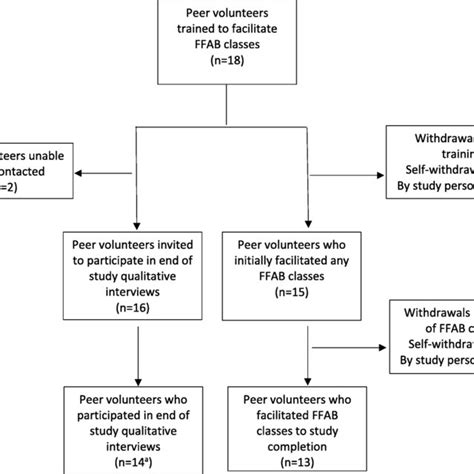 Flow Chart Of Peer Volunteers Who Went On To Facilitate Father Focussed