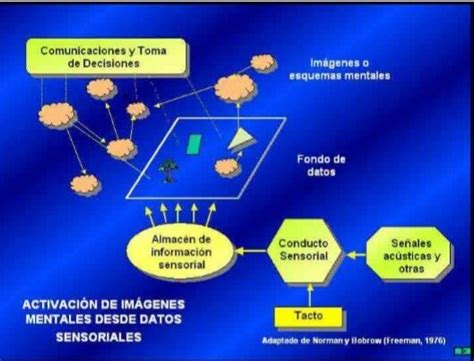 Esquema Conceptual De Trabajo Fuente Norman And Bobrow 1976 En