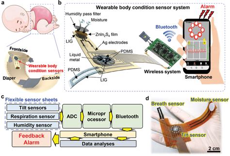 Conceptual Illustration Of The Multimodal Flexible Sensor System For Download Scientific