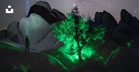 별이 빛나는 밤 아래 산에 불이 켜진 녹색 나무 근처에서 손전등을 가진 사람 사진 Unsplash의 무료 조슈아 트리 이미지
