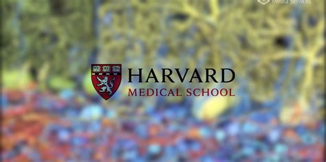 A New Field Of Neuroscience Aims To Map Conne Eurekalert