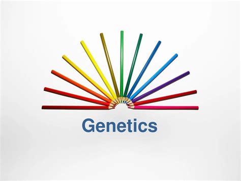 Ppt G Enetics Powerpoint Presentation Free Download Id8933553