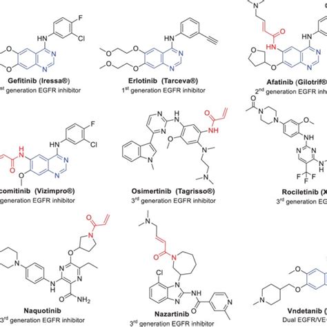 First Second And Third Generation Egfr Inhibitors And Dual