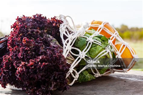 야채 과일과 신선한 허브를 곁들인 에코 백 유기농 녹색 채소를 곁들인 친환경 메쉬 백 제로 폐기물 플라스틱 무료 개념 건강한 깨끗한 식생활 식단과 해독 가방에 대한 스톡