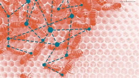 Networking For Introverts Rintrovert