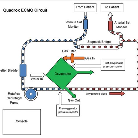 Schematic Of Extracorporeal Membrane Oxygenation Ecmo System Used In