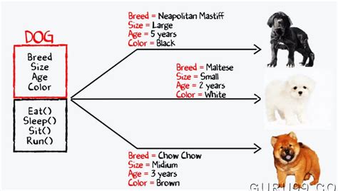 Classes And Objects In Python With Code A Comprehensive Guide By Arya Medium