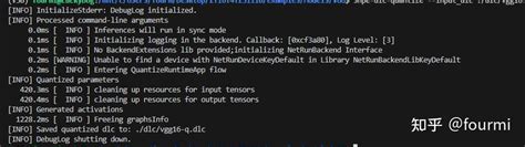 分享好玩的snpe系列之三：snpe 模型量化续 Vggonnx 知乎
