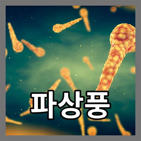 파상풍 초기증상과 예방접종 및 파상풍 주사 약 균