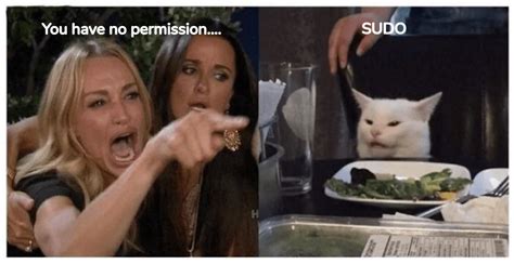 sudo r programmerhumor