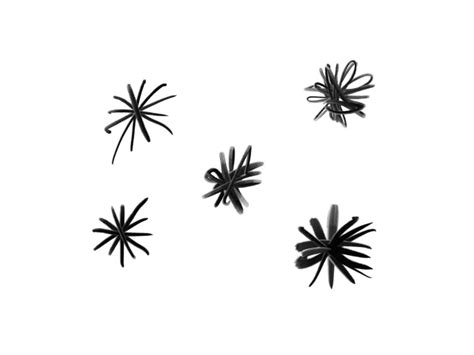 Wepresent Deborah Levy On The Resounding Impact Of Ziggy Stardust