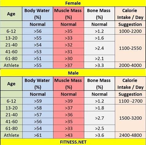 What Muscle Mass Percentage Is Good Unlock Optimal Fitness