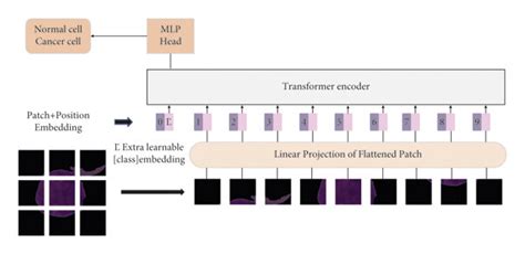 The Model Overview Of The Vision Transformer Model Download Scientific Diagram
