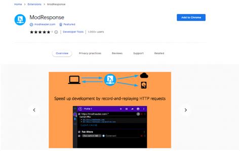 Top 5 Chrome Extensions For Handling Requests