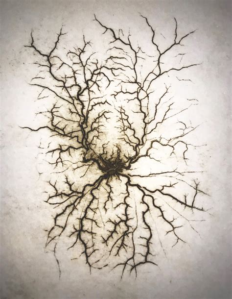 Branching Structures Katie Caron