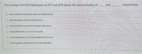 [solved] free energy from the hydrolysies of atp and gtp dr