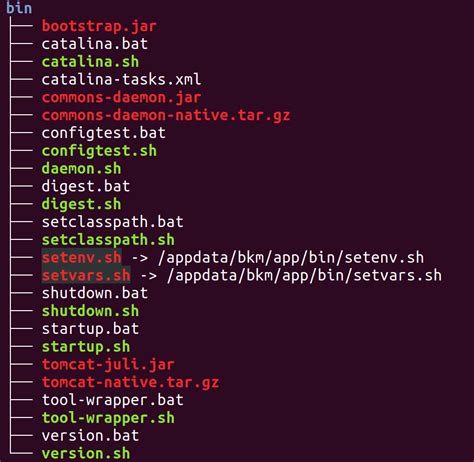 How To Manage Apache Tomcat Update With Python