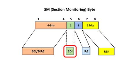 SM Byte Field With The SM BDI Bit Field Highlighted Sierra Hardware Design S Blog