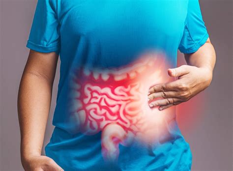 Gastrointestinal Tract