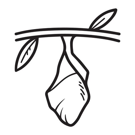 Butterfly Or Caterpillar Cocoon Vector Icon Illustration Isolated On