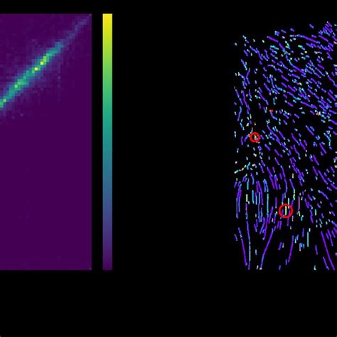Quantitative Comparison Of The Orientation Angles Of Common Fibril