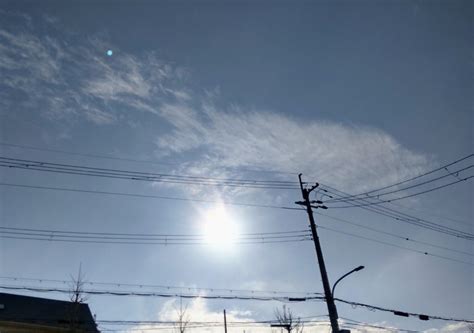 マグロの解体ショーとなめろう love happy