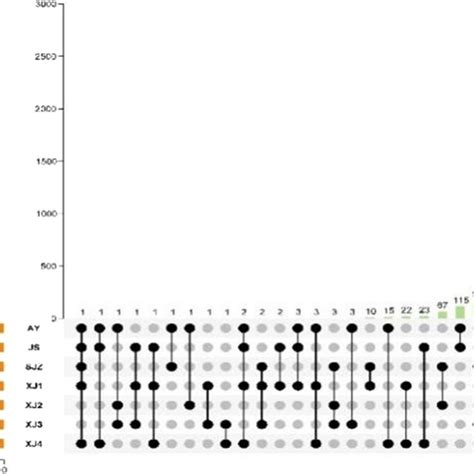 Intersection Of Single Nucleotide Polymorphism Snp Distributions
