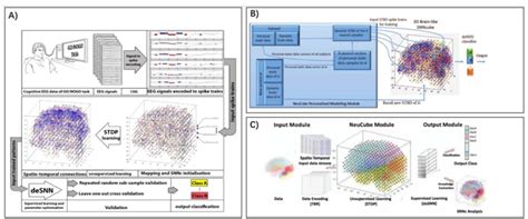 A A Block Diagram Of The Neucube Modules For Eeg Data Encoding Download Scientific Diagram