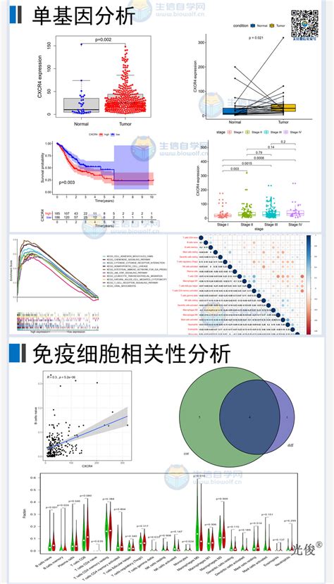 肿瘤微环境 单基因 免疫细胞浸润联合文章套路视 生信自学网