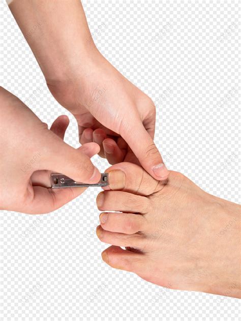 Cut Nails Clipart Online Wholesale