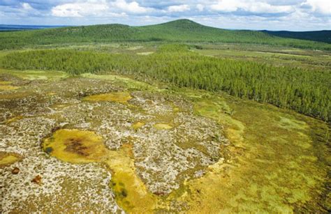 The Mysterious Tunguska Event That Baffles Scientists To This Day