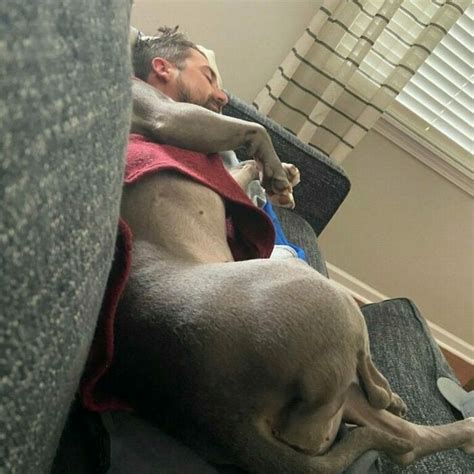 This Page Is All About Cursed Images And Heres Of The Most Unsettling Ones Bored Panda