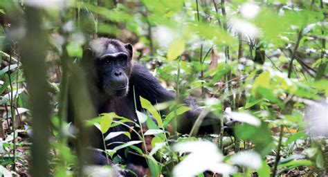 How Geospatial Technology Can Help The Finance Sector Address