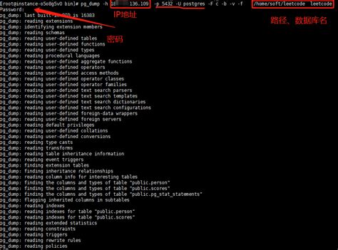 postgresql中的 pg dump和pg restore postgressql dump resotre csdn博客