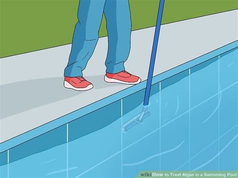 How To Treat Algae In A Swimming Pool With Pictures WikiHow Life