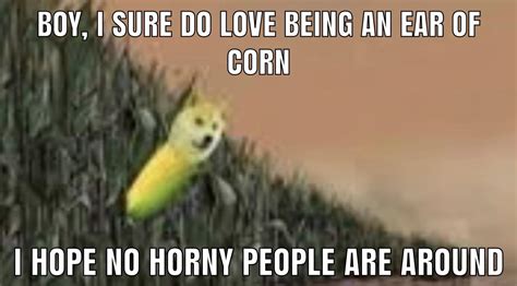 Le Country Girl Will Soon Arrive Rdogelore Country Girls Make Do