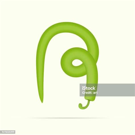 R 편지 녹색 칠리 고추 디자인 건강하고 채식주의 자 디자인 자연 템플릿 야채 로고 등을위한 벡터 야채 글꼴 건강한 식생활에 대한 스톡 벡터 아트 및 기타 이미지 Istock