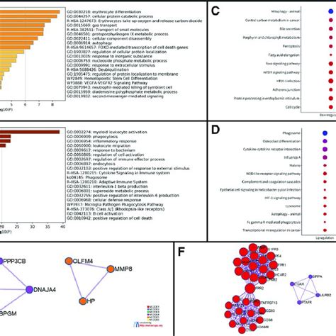 Function Enrichment Analysis And Construction Of A Ppi Network A