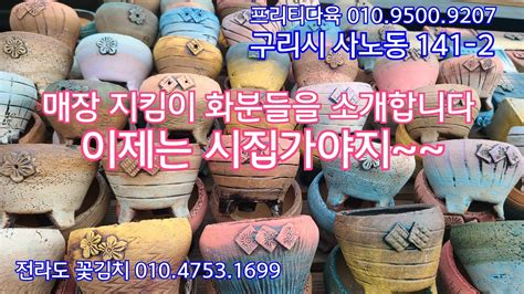 24316프리티다육에서 자리 지킴하는 매장 화분 소개드립니다 ♡ Youtube