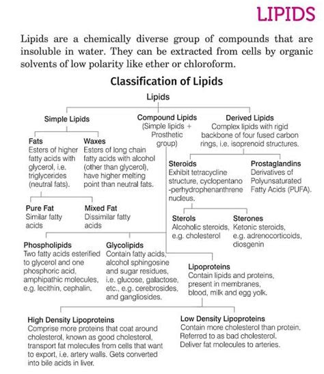 Lipid Defination Classification Fuction Structure With All Example