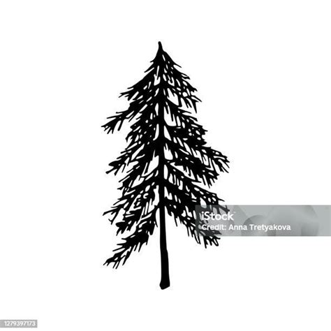 싱글 핸드 는 새해와 Xmas 소나무를 그린 겨울 인사말 카드 포스터 스티커 및 계절 디자인에 대한 낙서 벡터 일러스트레이션 12월에 대한 스톡 벡터 아트 및 기타 이미지