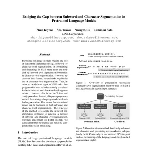 Bridging The Gap Between Subword And Character Segmentation In